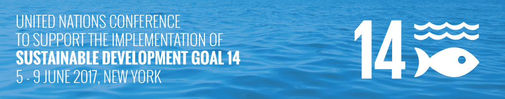 Opinion: Global shadow financial system enables the plunder of the ...